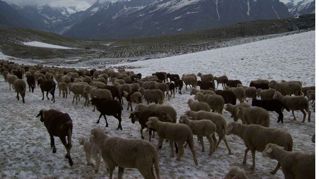 15 Best Places To Visit In Kullu Manali In May