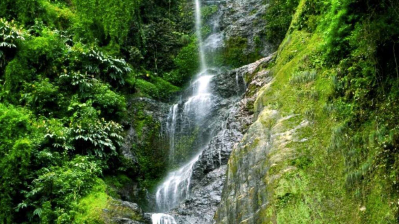 15 Best Places to Visit in Mashobra