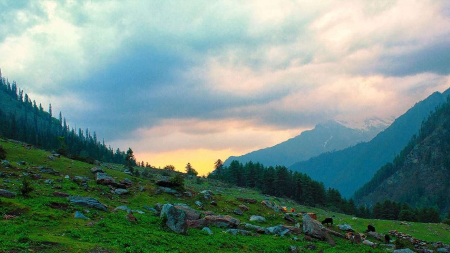 10 Best Things To Do In Tosh Village