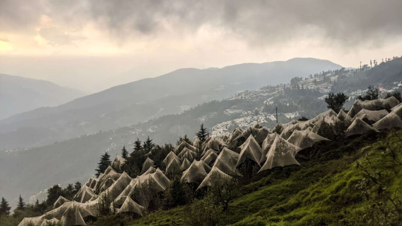 10 Best Places To Visit In Narkanda