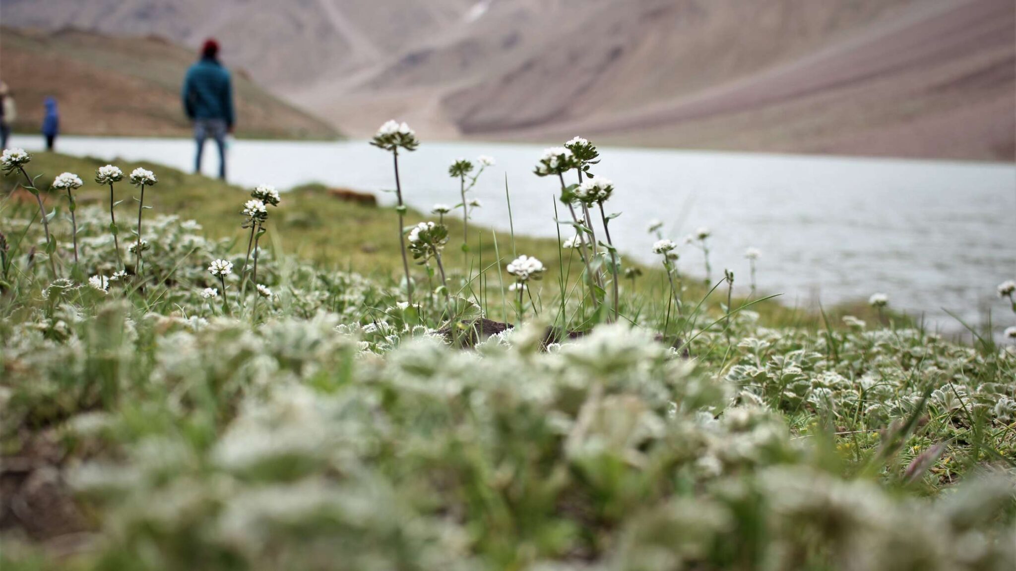 Manali to Chandratal September 2026 Travel Guide & Tips